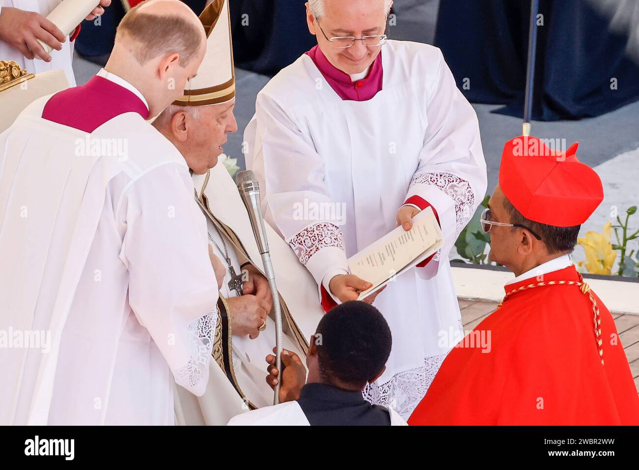 Pope Francis elevates new cardinal Sebastian Francis during a ...