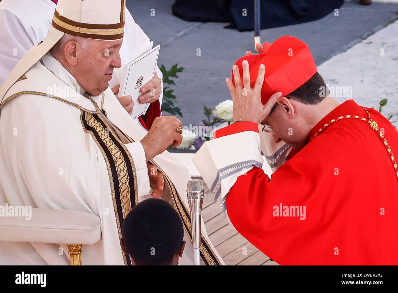Pope Francis elevates new cardinal Americo Manuel Alves Aguiar during a ...
