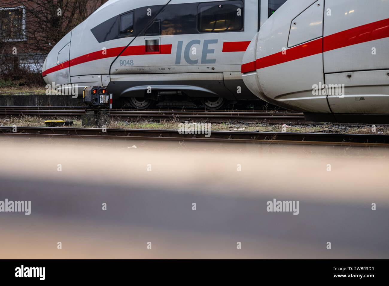 12 January 2024, North Rhine-Westphalia, Münster: On the last day of ...