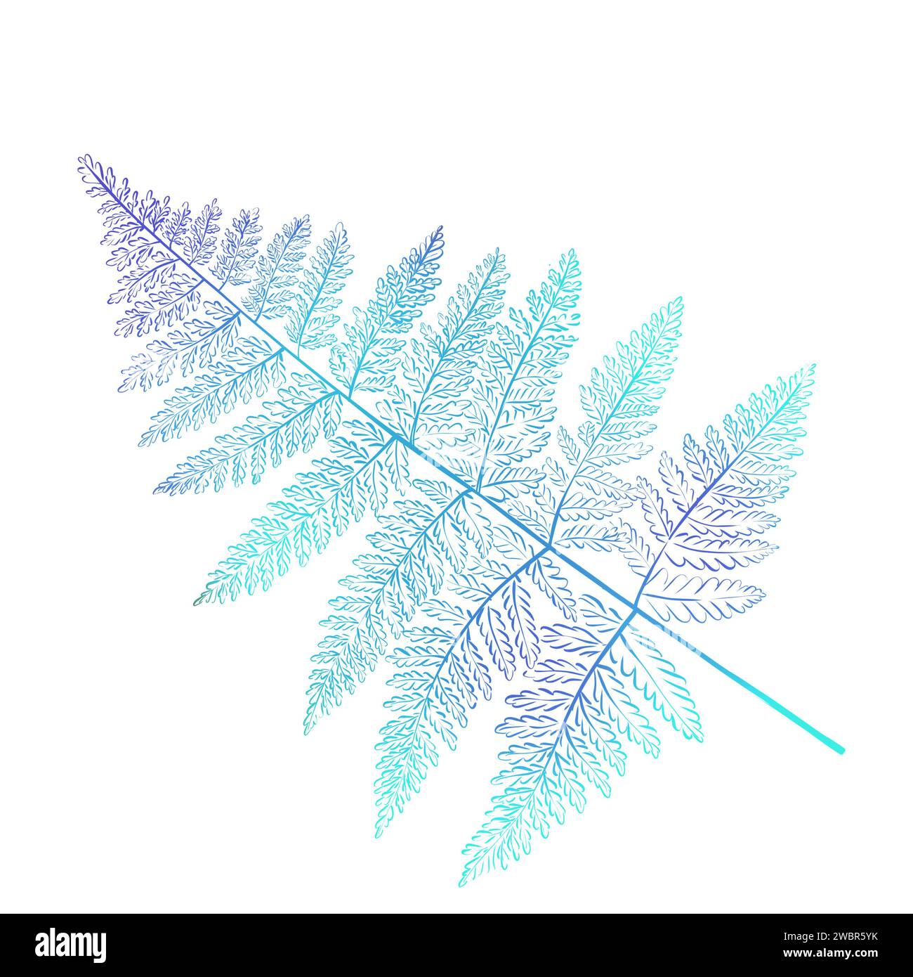 Watercolor blue sprig of fern. Tropical leaf. Forest plants, botany ...