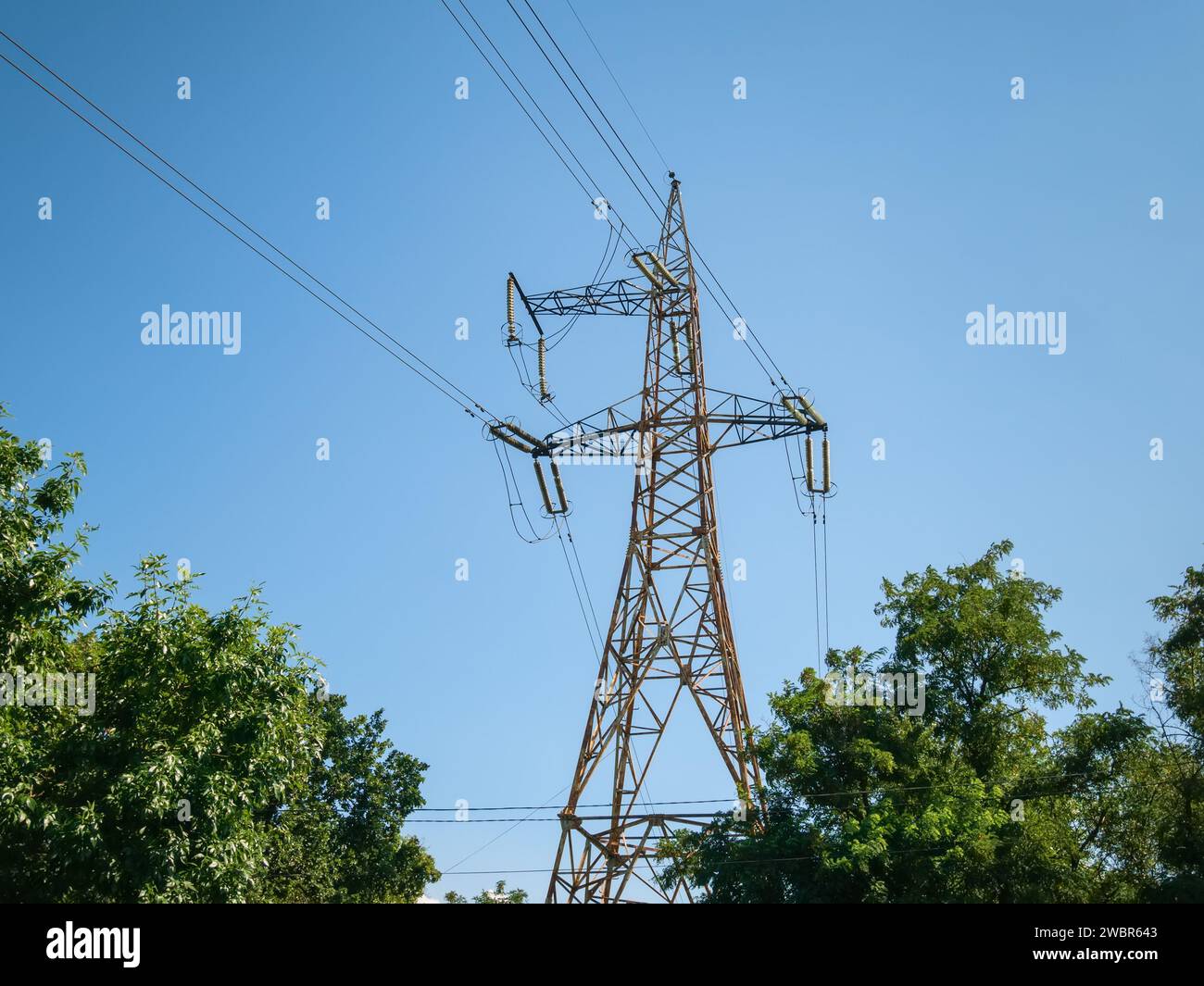 A high voltage power line mast rises above the trees against the sky ...