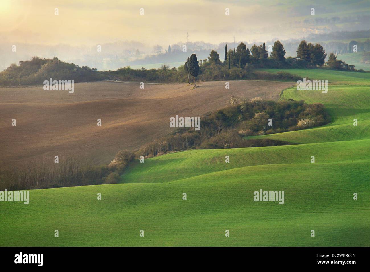 The rolling hills of Tuscany during spring Stock Photo - Alamy