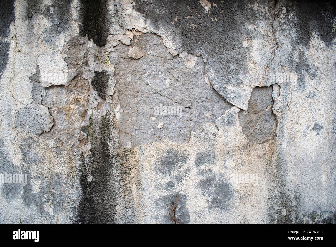 Cracked, peeled and damaged exterior wall plaster, gray, no people ...