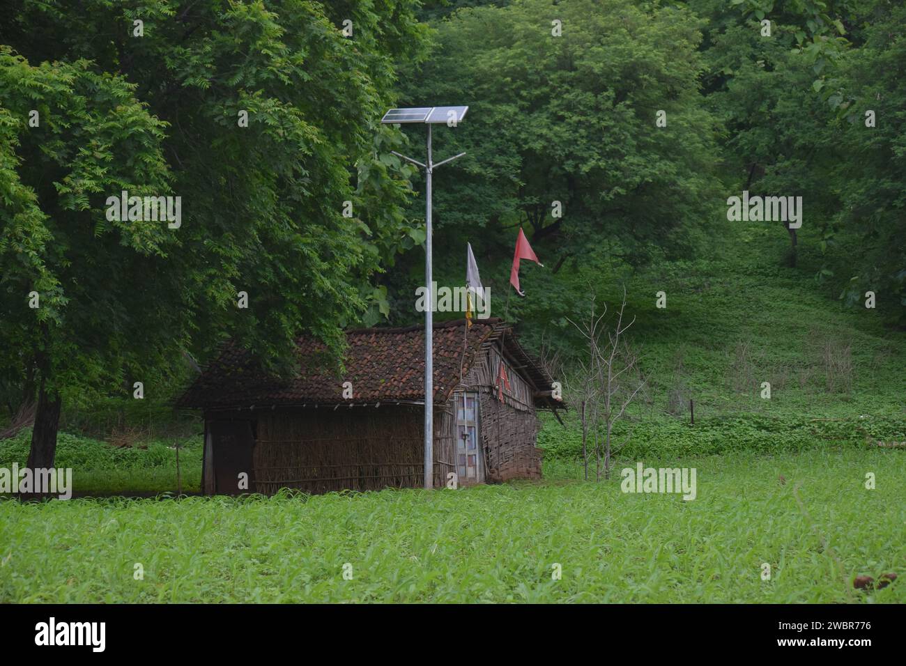 A rustic log cabin in a picturesque meadow amongst towering evergreen ...