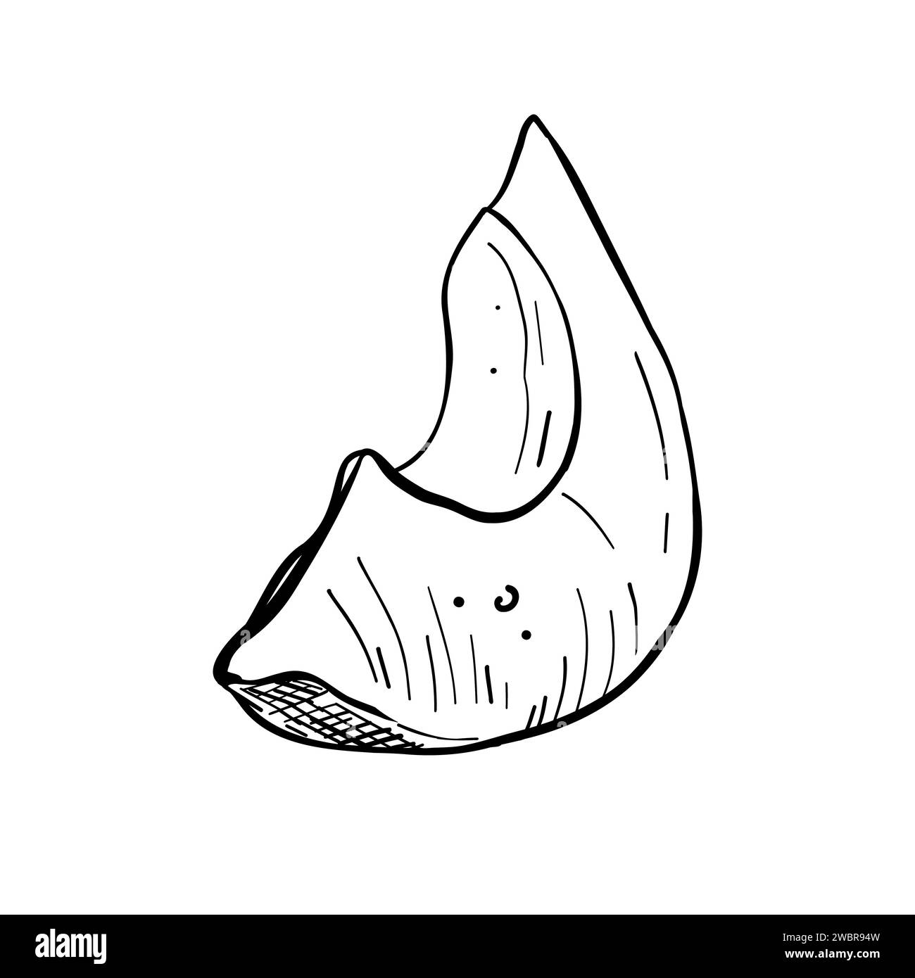 Avocado slice vector illustration. Avocado fruit ripe. Black outline ...