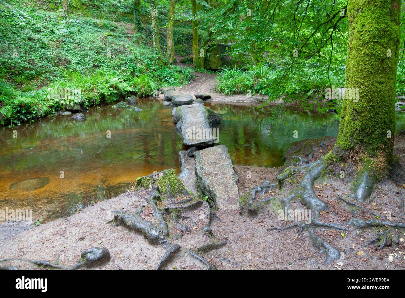 Famous "Vieux pont rouge" (Old red bridge in english) in the forest of ...