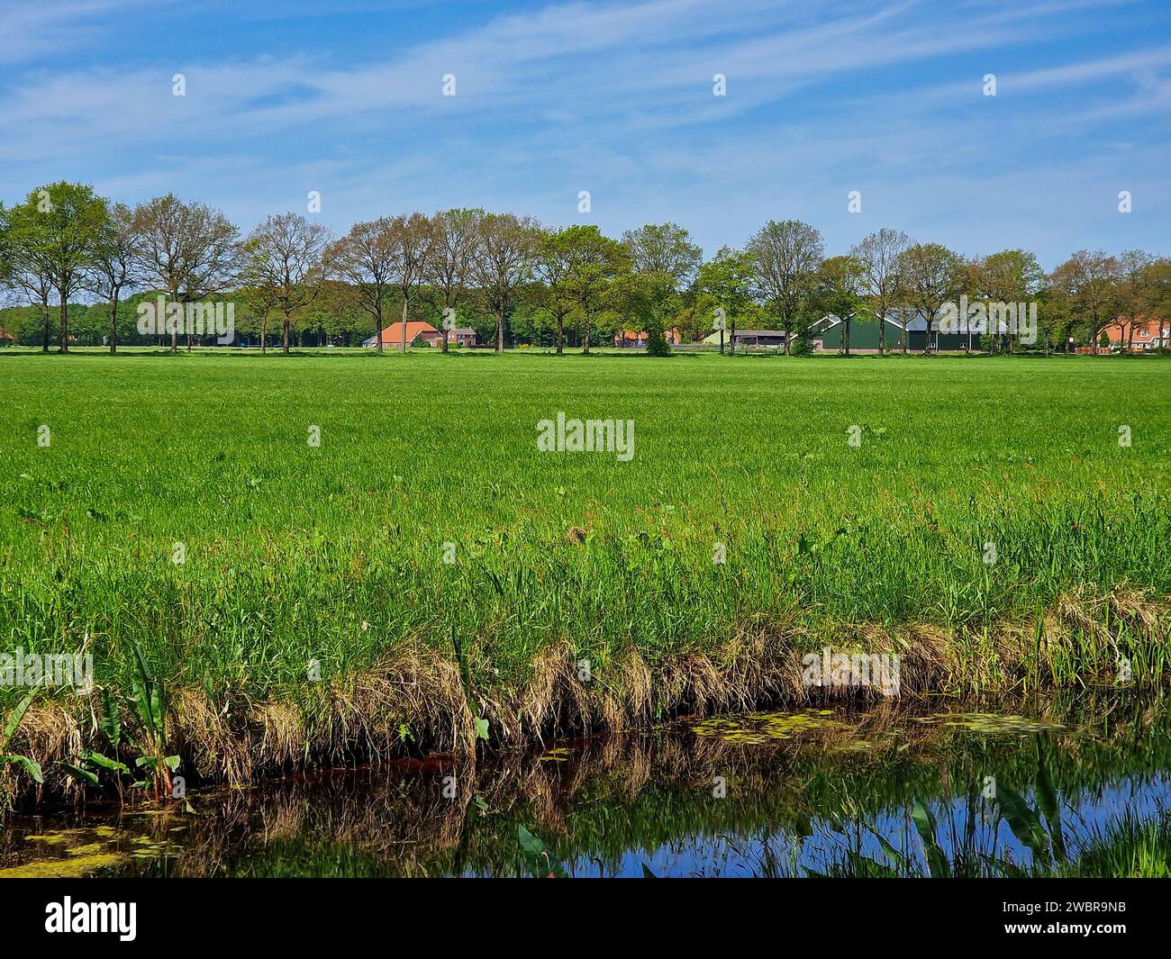 Rural landscape of western part of Dutch province Groningen Stock Photo ...
