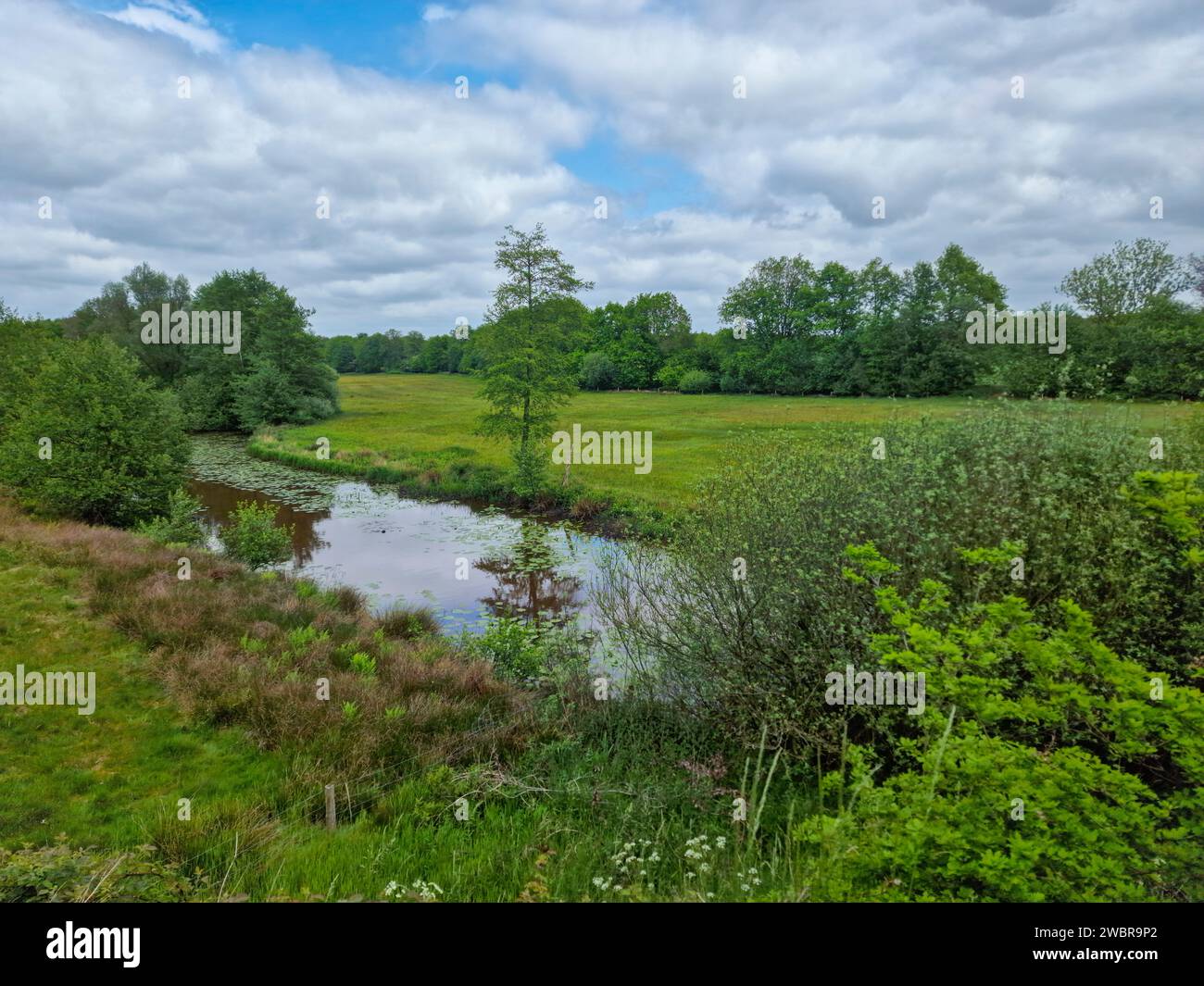 Restored landscape around Dutch river Ruiten Aa; Sellingen, Groningen ...