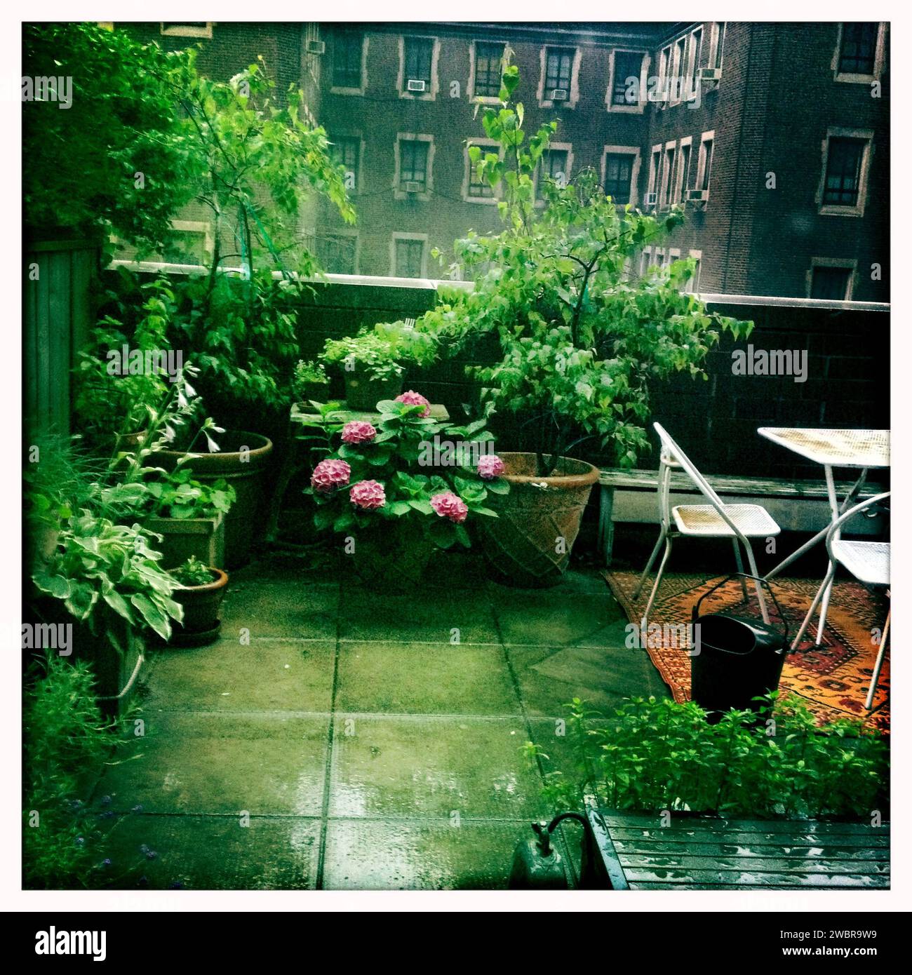 Terrace Garden in Heavy Rain Stock Photo - Alamy