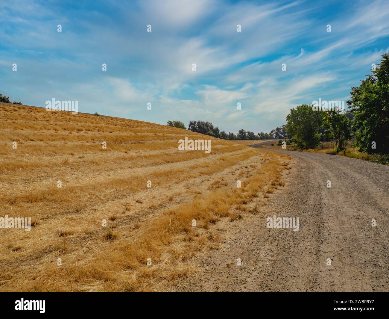 A scenic view of a dirt road winds through a landscape filled with ...