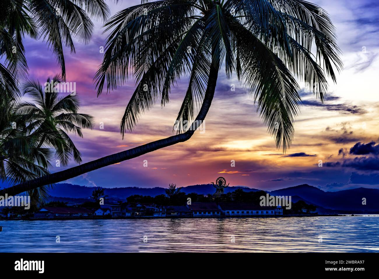 Sunset landscape view, palm trees, sea, and reflections, Big Buddha, Bo ...