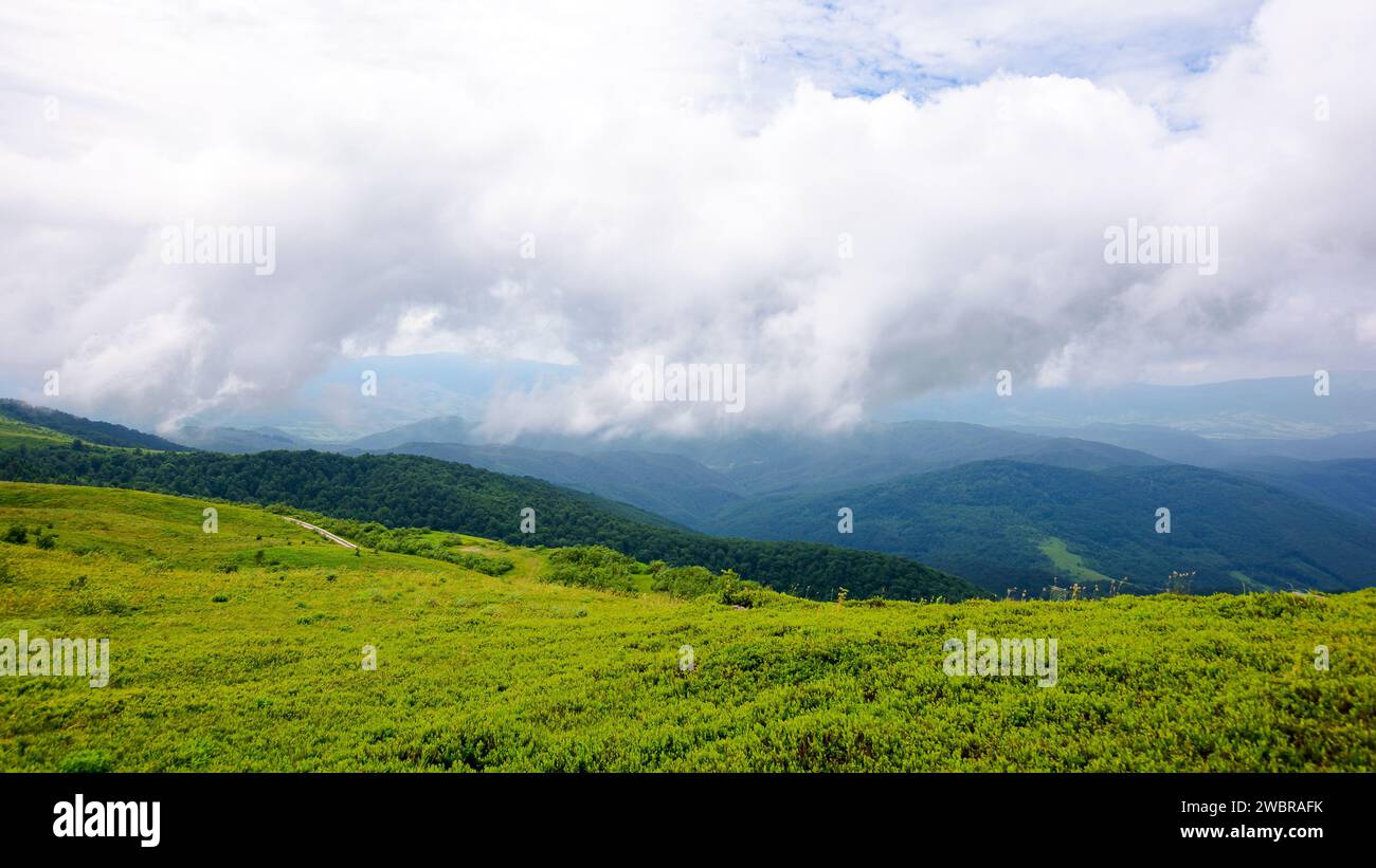 alpine meadow of carpathian mountains in summer. cloudy weather Stock ...