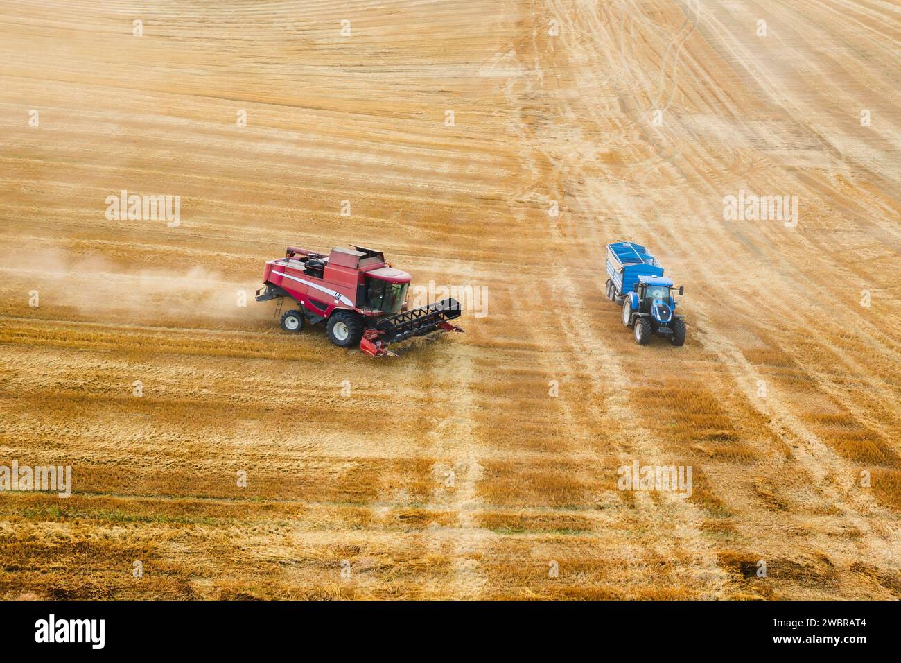 Combine harvesters gather wheat growing in farm field aerial view ...