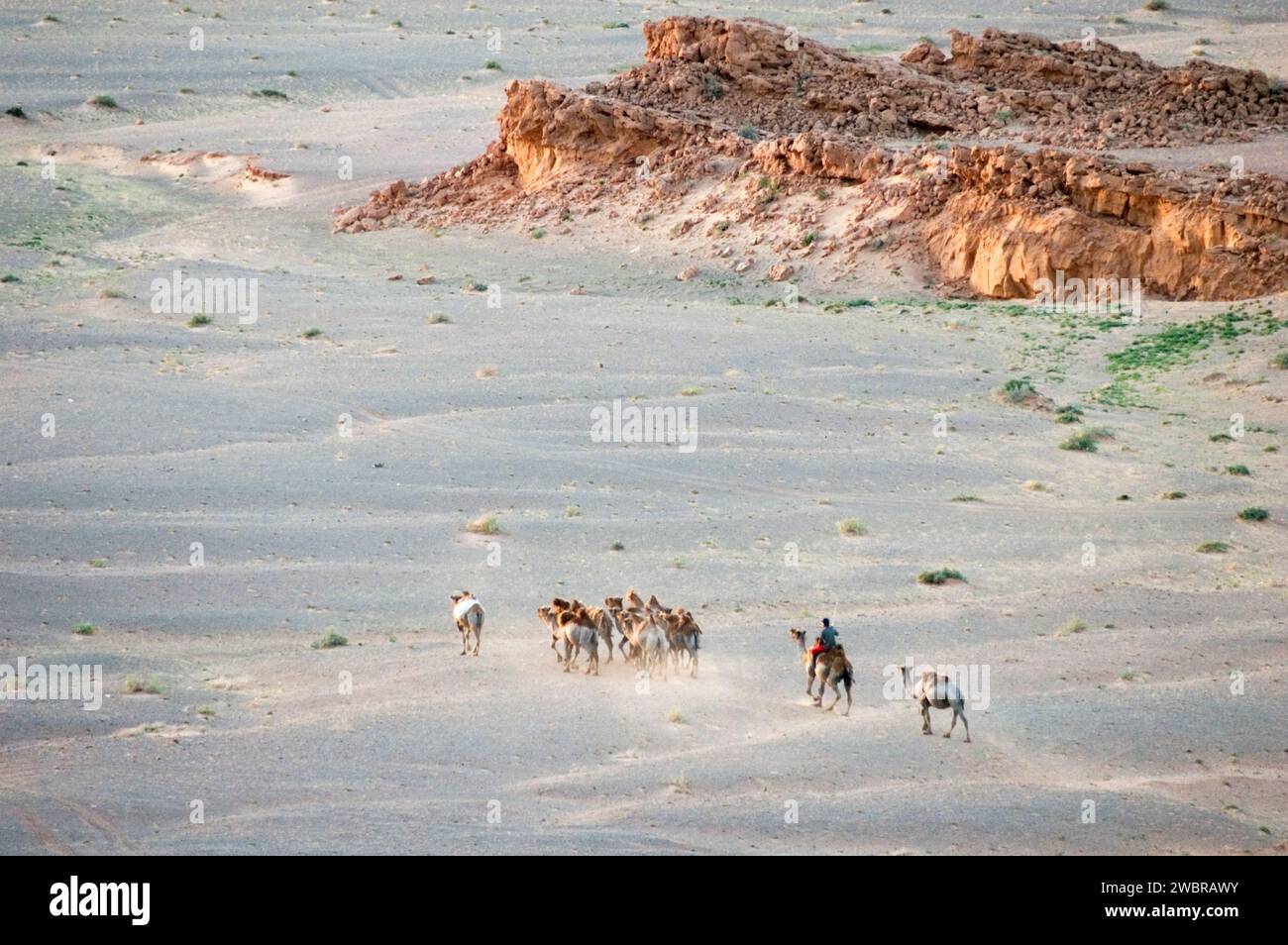 Camel herders at Bayanzag, or Flaming Cliffs, Gobi National Park Stock ...