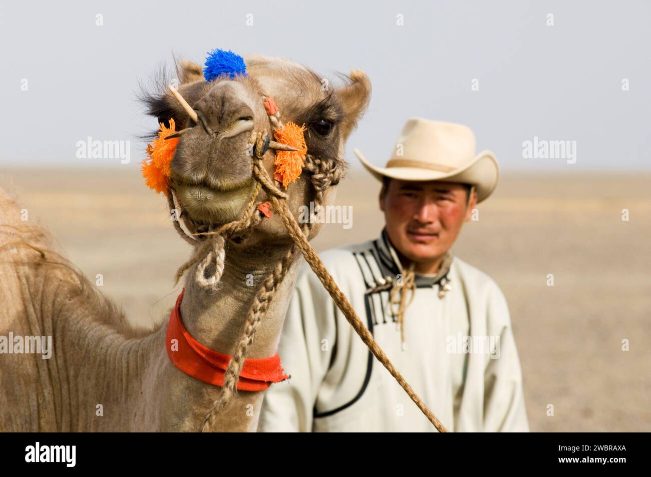 Gobi camel herders Stock Photo - Alamy