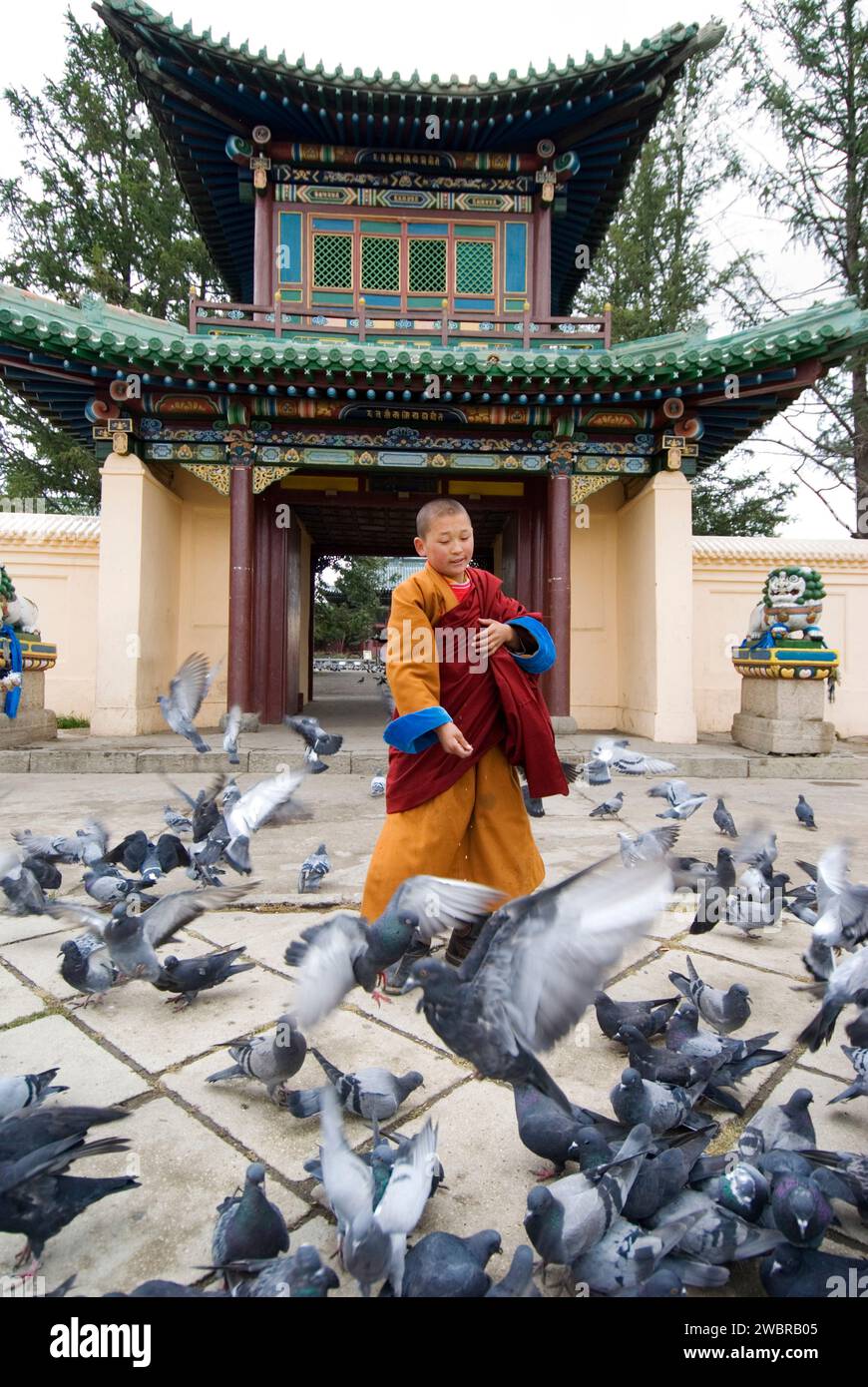 Kindness of birds hi-res stock photography and images - Alamy