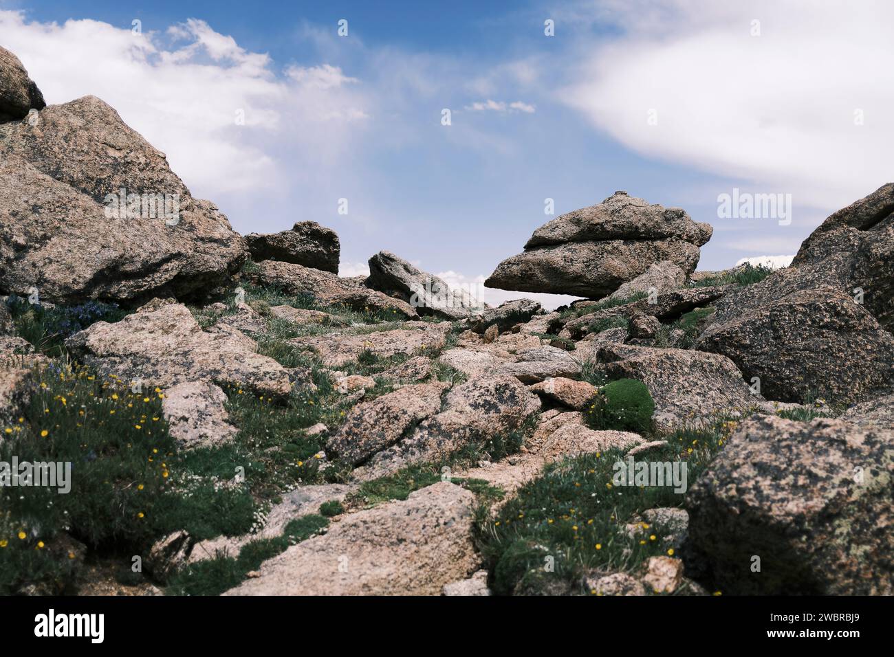 Rocky landscape in the Mount Blue Sky Wilderness, Colorado Stock Photo ...