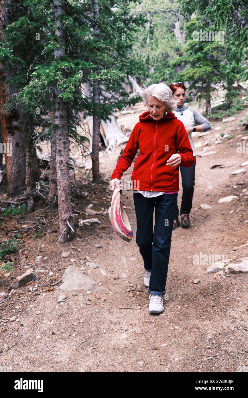 Fit older woman walking on trail in forest with family Stock Photo - Alamy