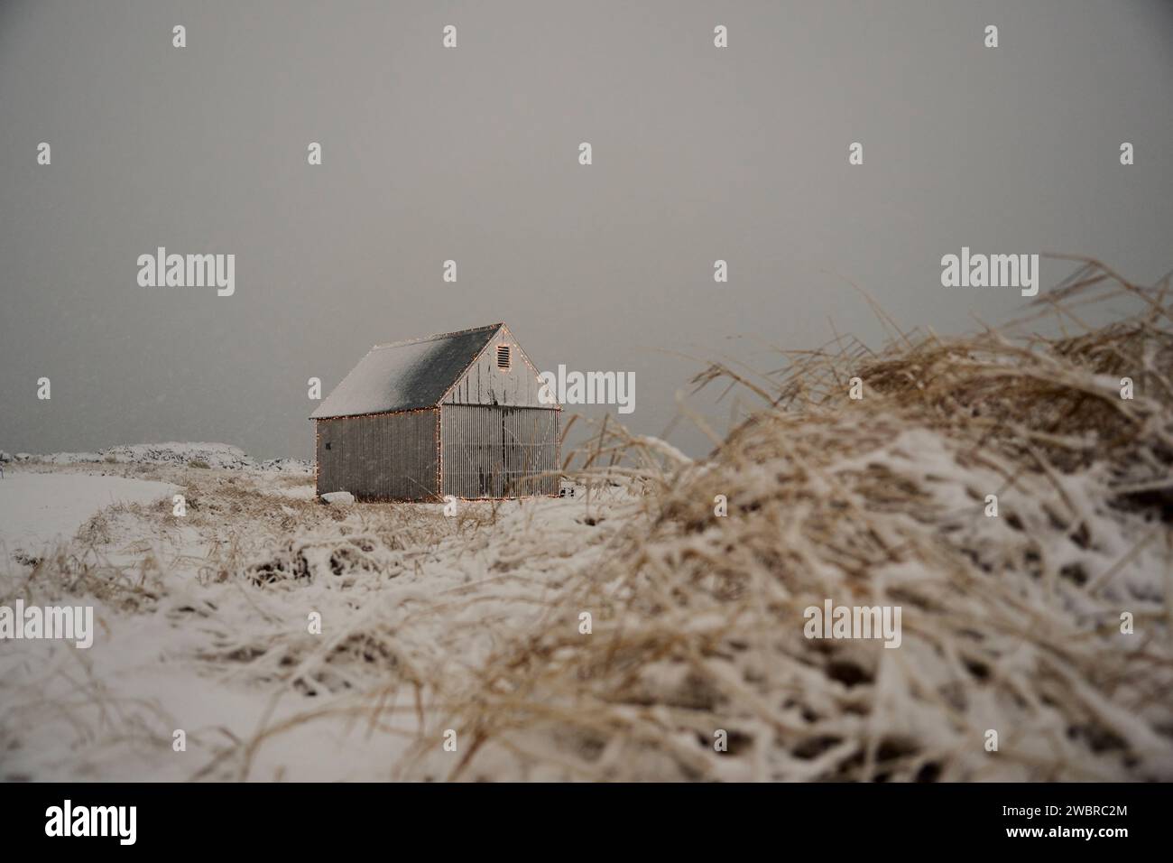 Small hut shed on snowy ground in winter with dry grass Stock Photo - Alamy