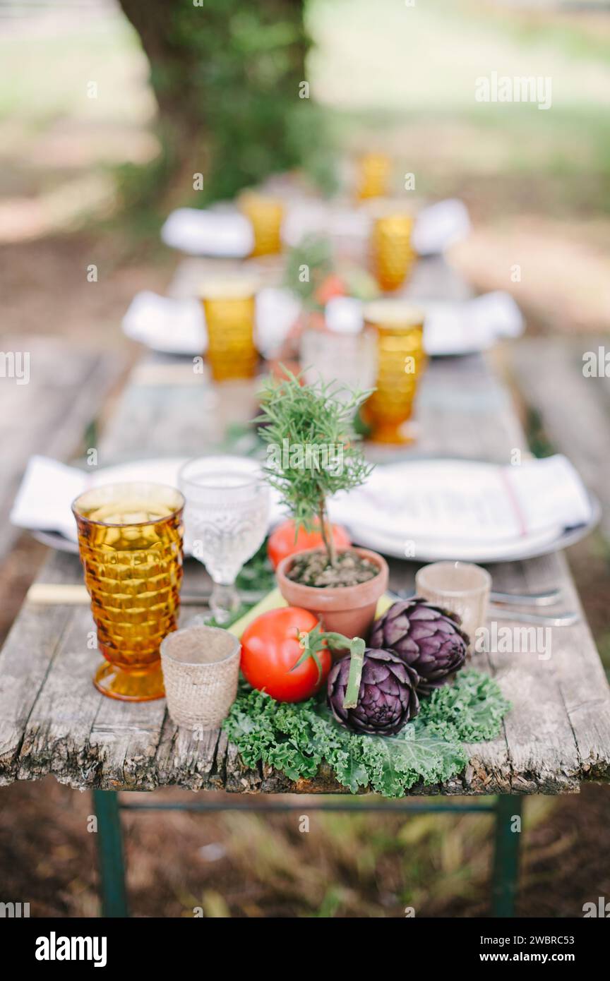 Colorful Farm to Table Meal in Rural Country Stock Photo - Alamy