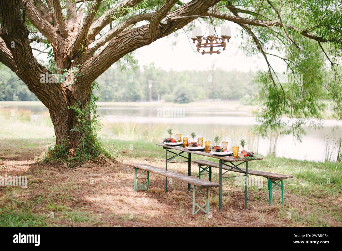 Farm to table flavors hi-res stock photography and images - Alamy