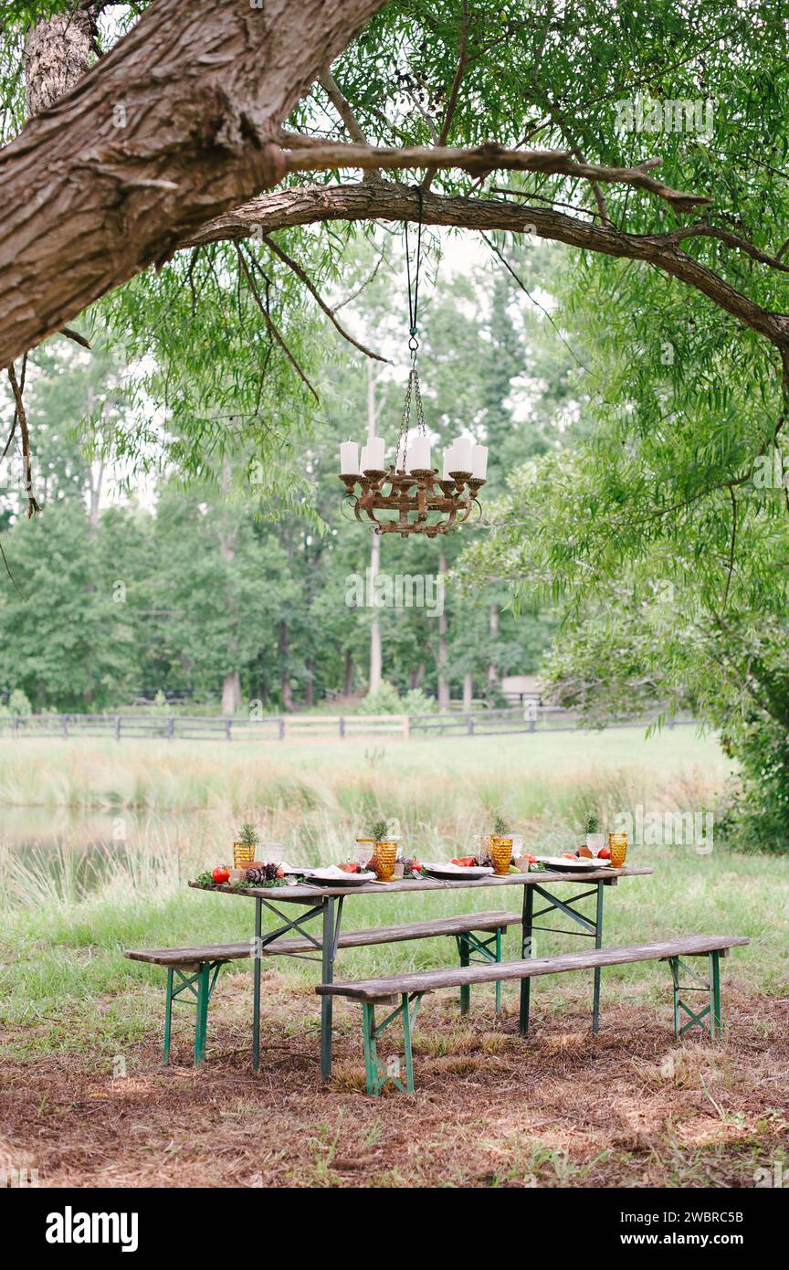 Farm to fork dining hi-res stock photography and images - Alamy