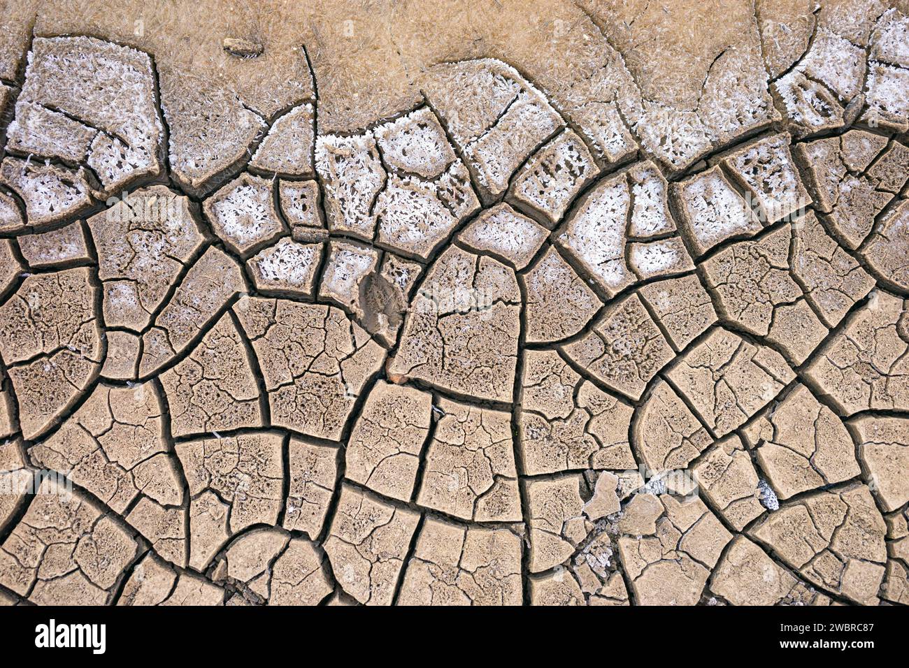 Clay soil dried out in the wilderness, Colorado Stock Photo - Alamy