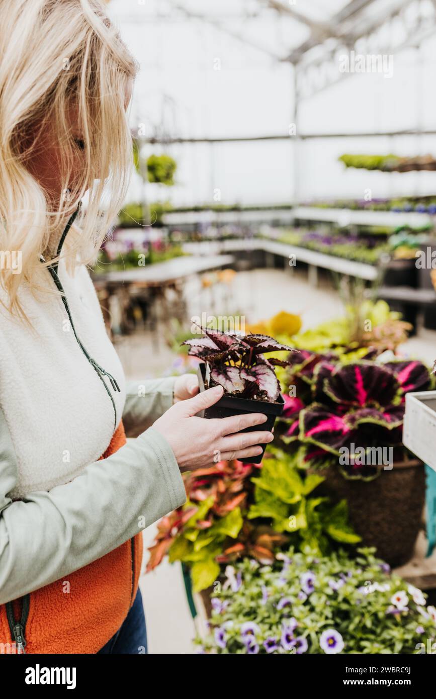 woman holds plant while shopping at local greenhouse Stock Photo - Alamy