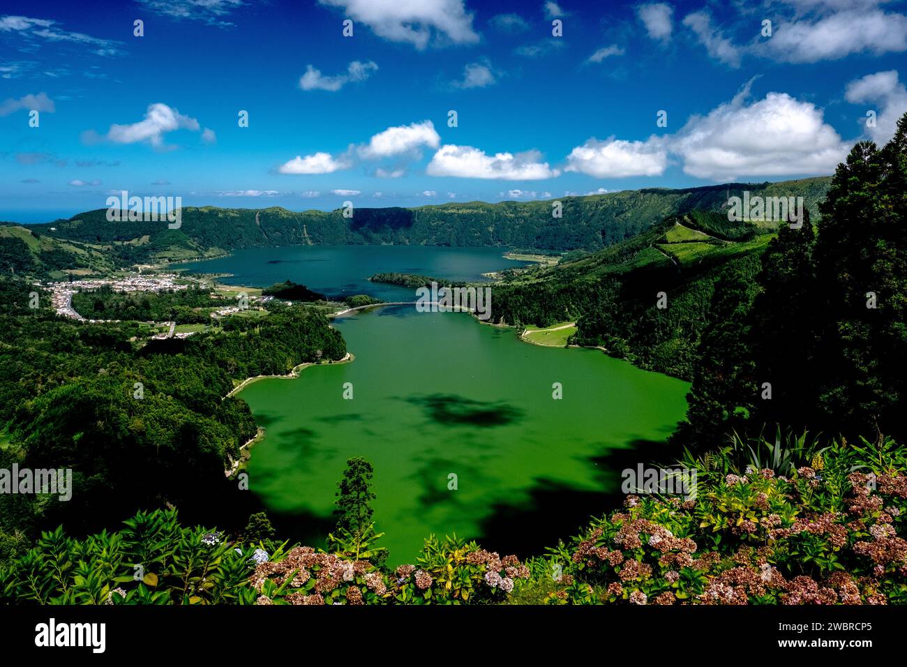 Lush tropical greenery and lakes in the Azores Stock Photo - Alamy