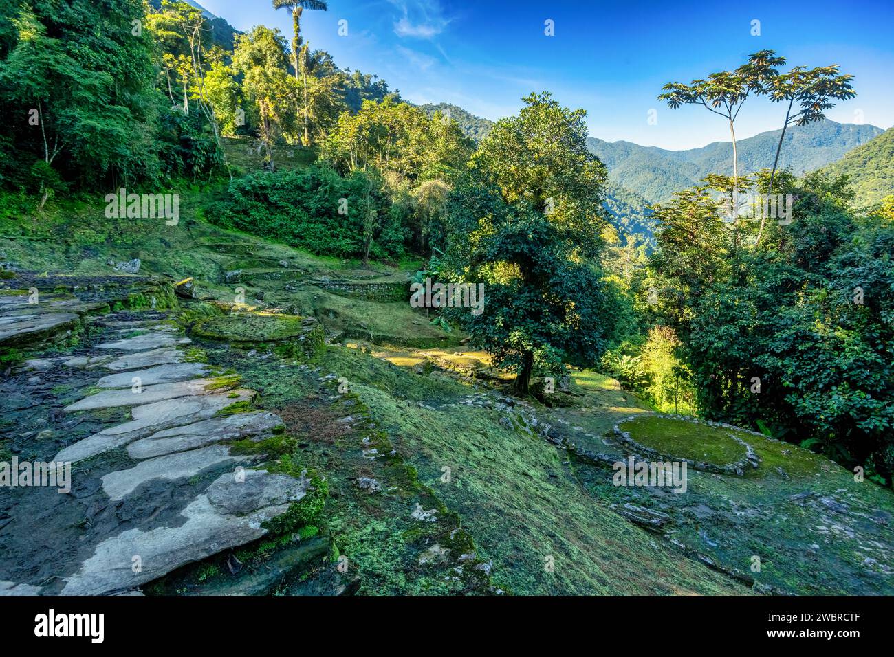 Hidden ancient ruins of Tayrona civilization Ciudad Perdida in the ...
