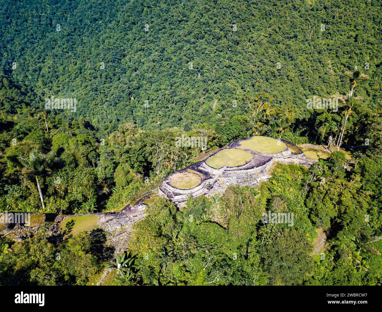 Hidden ancient ruins of Tayrona civilization Ciudad Perdida in the ...
