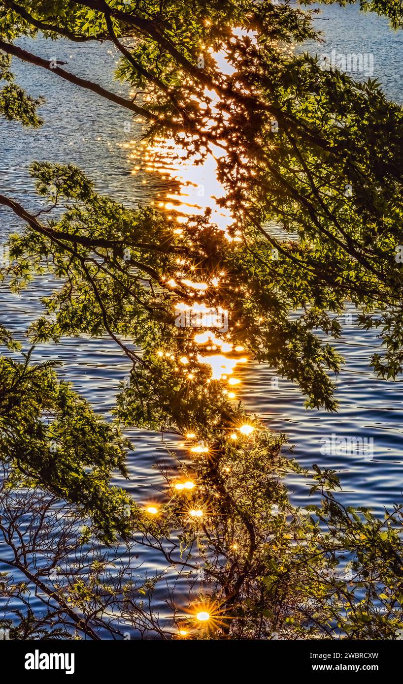 Colorful Lake Ashiniko Water Reflection Abstract Hakone Kanagawa Stock ...