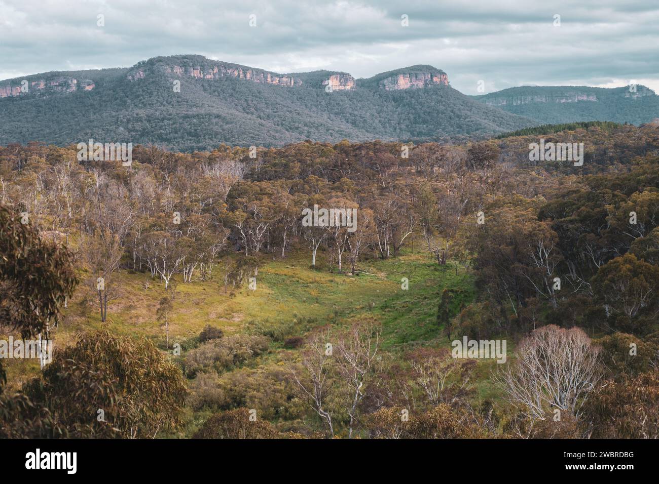 landscape of striking ridge line across wild bushland australia Stock ...