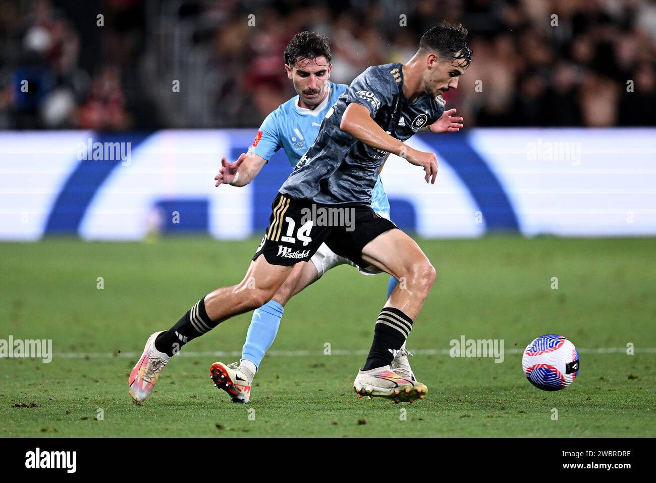 Sydney, Australia. 12th Jan, 2024. Nicolas Milanovic of the Wanderers ...