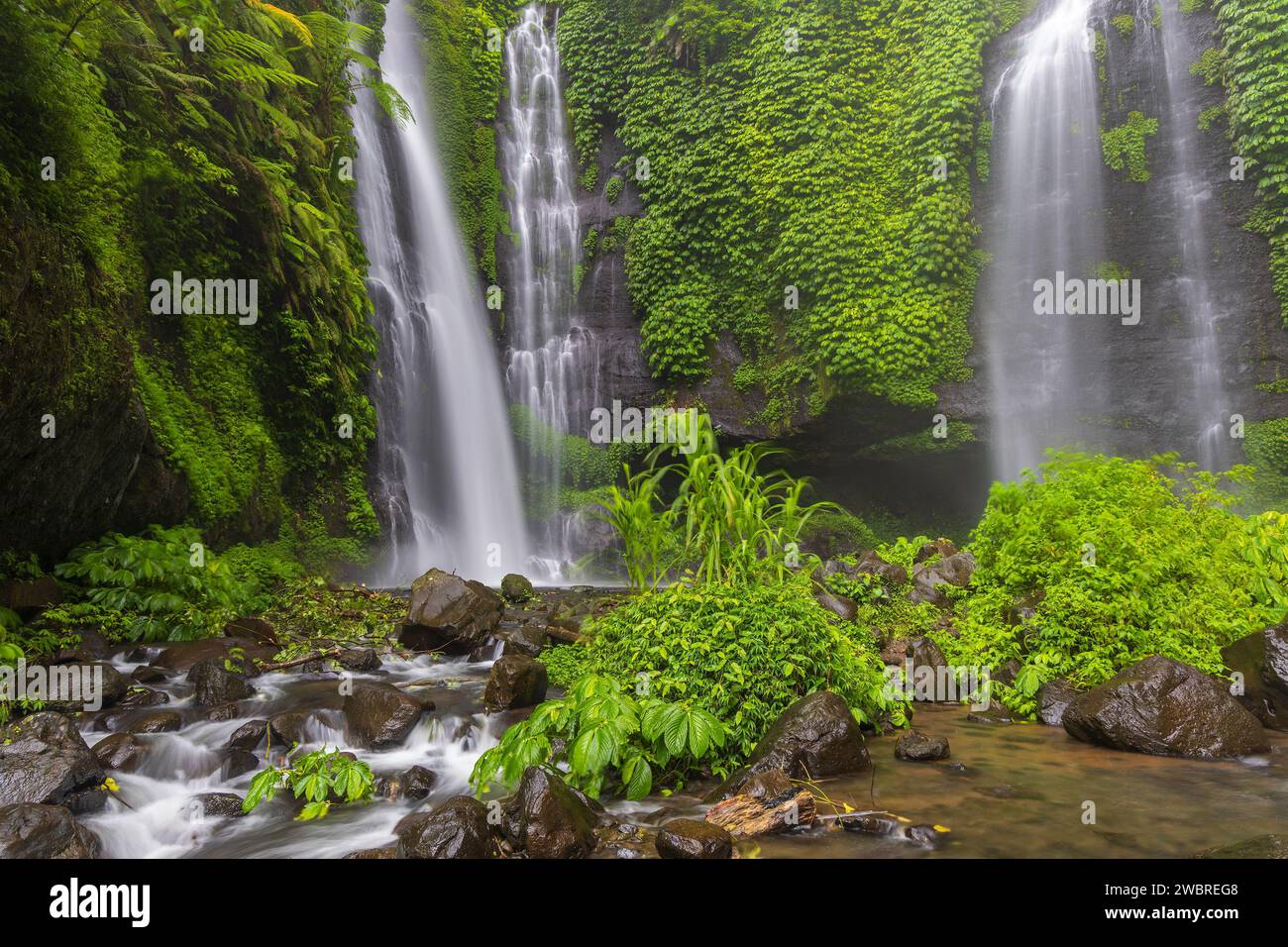 Fiji Waterfall in Bali Island, Indonesia Stock Photo - Alamy