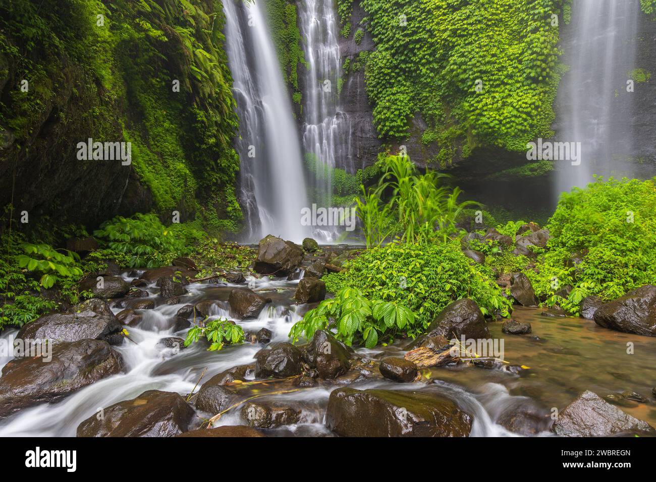Fiji Waterfall in Bali Island, Indonesia Stock Photo - Alamy