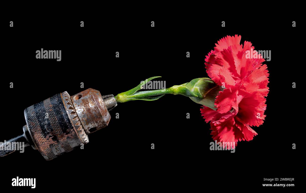 Creative still life with old rusty drill head and red carnation on a ...
