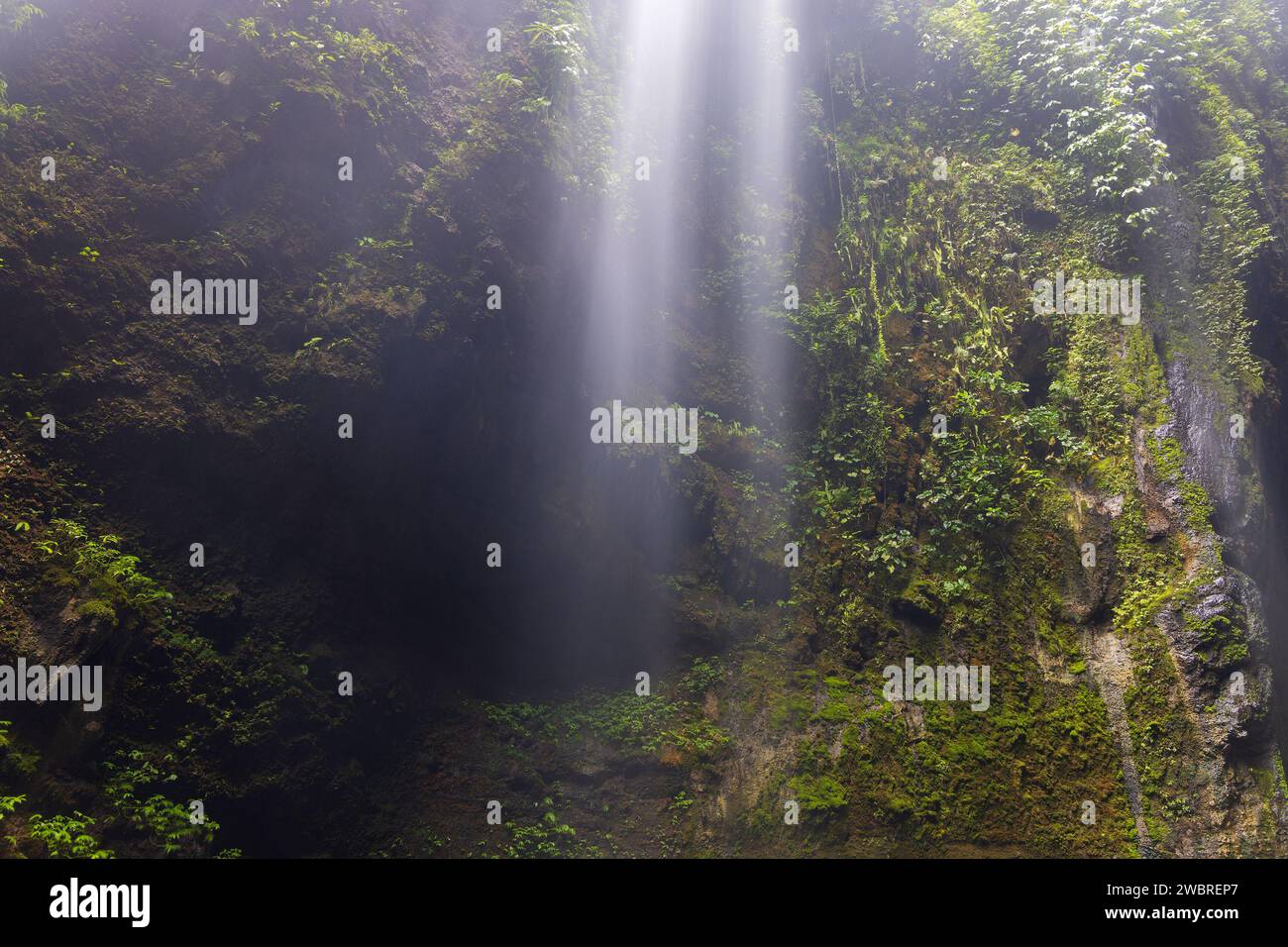 Hidden Waterfall near Sekumpul, Bali Island, Indonesia Stock Photo - Alamy