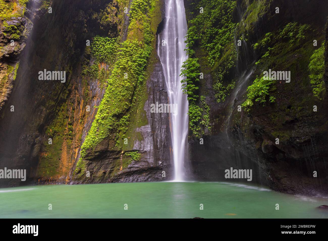 Hidden Waterfall near Sekumpul, Bali Island, Indonesia Stock Photo - Alamy