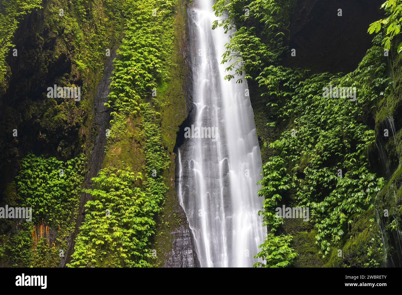 Hidden Waterfall near Sekumpul, Bali Island, Indonesia Stock Photo - Alamy