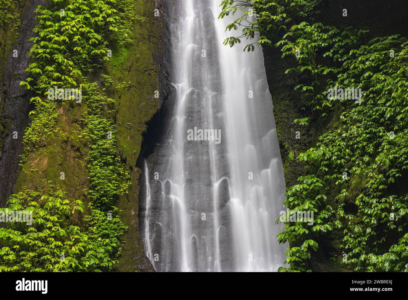 Hidden Waterfall near Sekumpul, Bali Island, Indonesia Stock Photo - Alamy