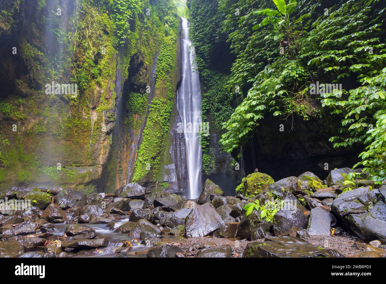 Hidden Waterfall near Sekumpul, Bali Island, Indonesia Stock Photo - Alamy