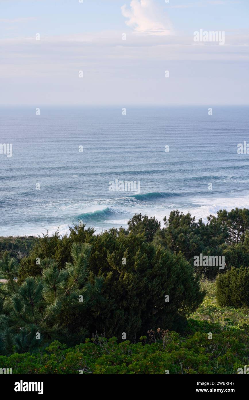 Calm sea and greenery, peaceful coastal nature scene Stock Photo - Alamy