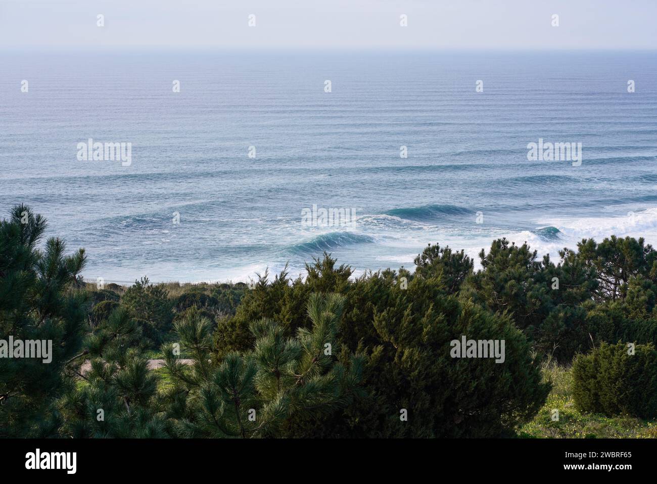 Calm sea and greenery, peaceful coastal nature scene Stock Photo - Alamy