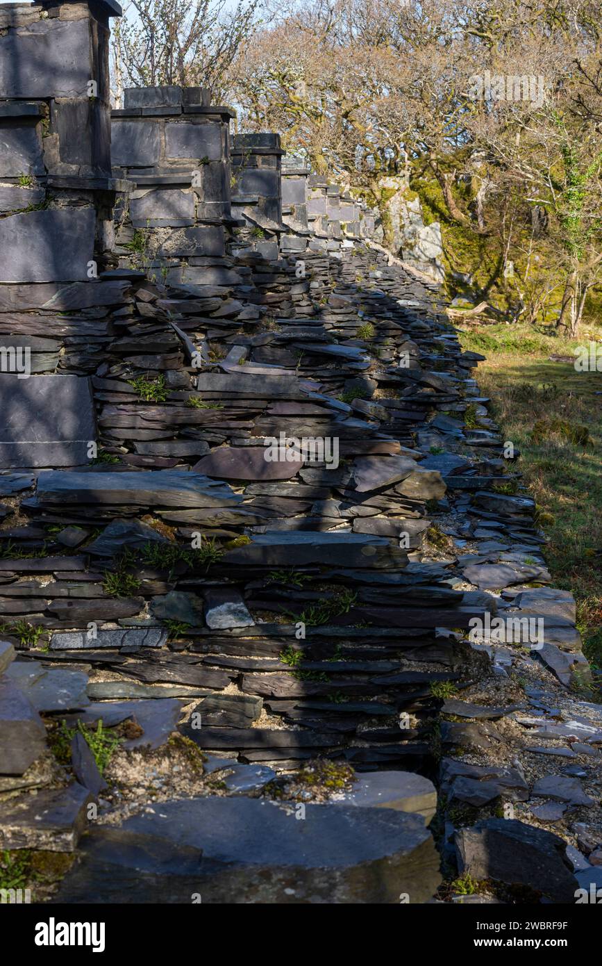 The ruins of the Anglesey Barracks at Dinorwig Quarry at Llanberis in ...