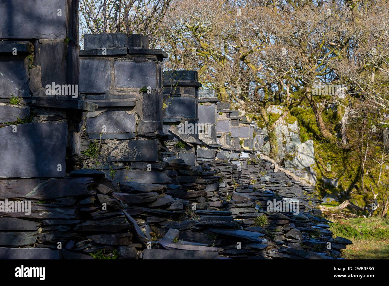 The ruins of the Anglesey Barracks at Dinorwig Quarry at Llanberis in ...