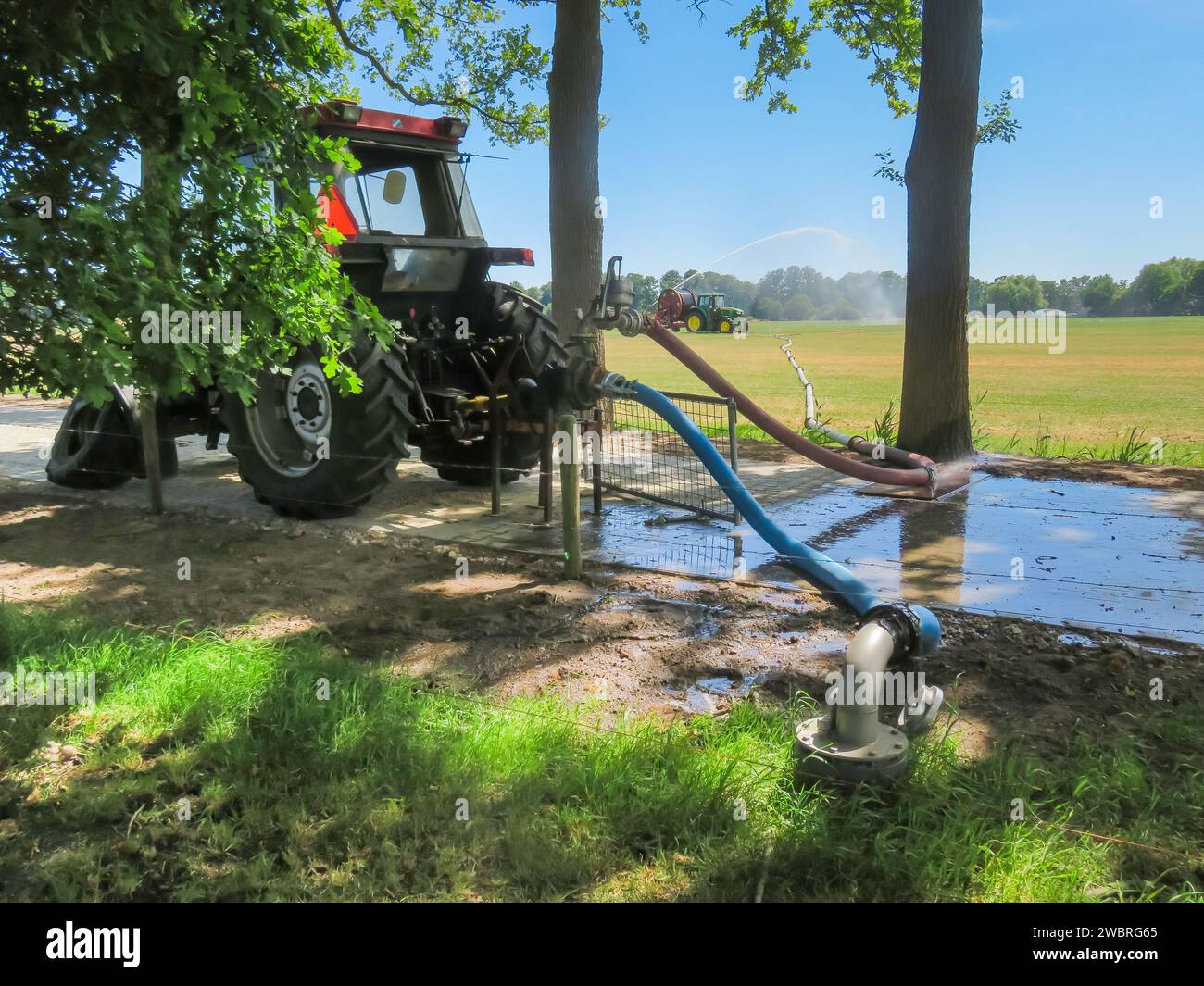 Netherlands, in the rural area around Renswoude village (province ...