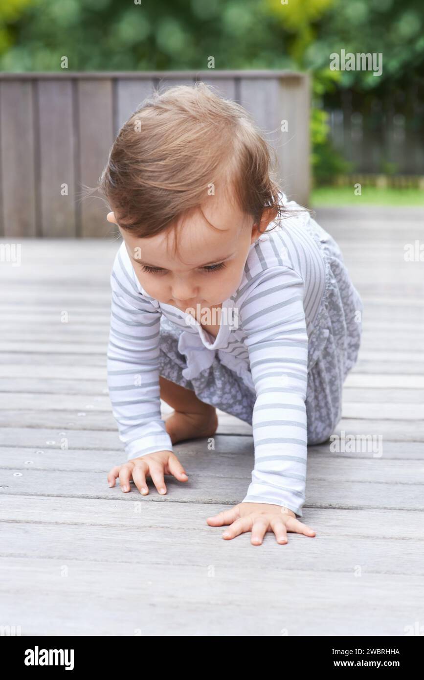 Baby, crawling and curious on floor, child development and growth with ...