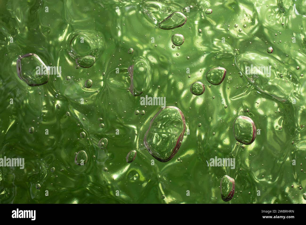 Facial structure hi-res stock photography and images - Alamy