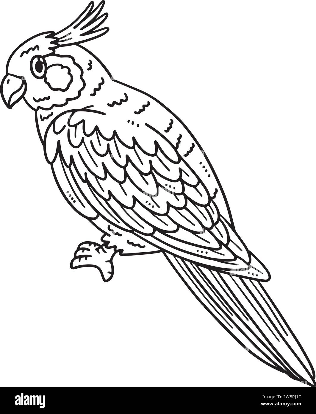 Cockatiel Bird Isolated Coloring Page for Kids Stock Vector Image & Art ...
